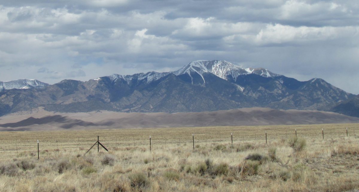 A Sandy World – tanja britton