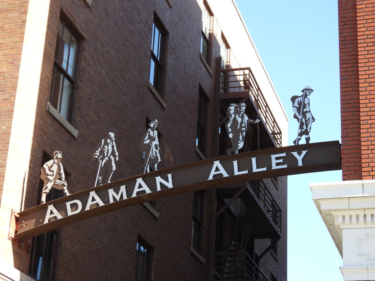 Happy Birthday, AdAmAn Club – tanja britton